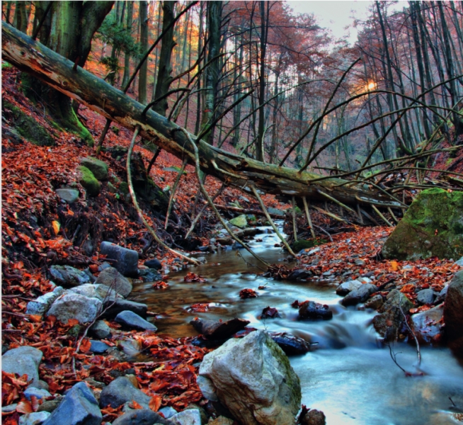 Eesti Looduskaitse Selts - Eesti Looduskaitse Selts
